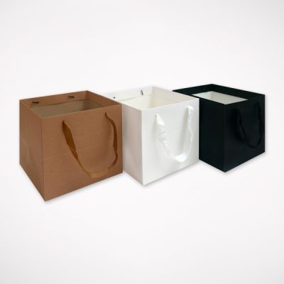 [ G4 ] SMALL SQUARE PREMIER CARRIER BAG - 12PCS - BOX2PAC - Malaysia ...