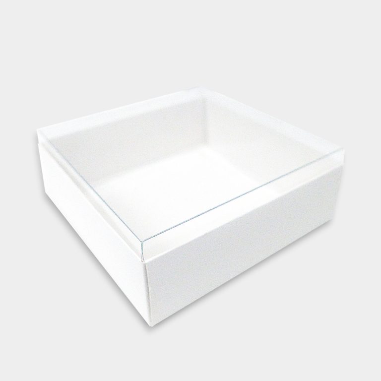 07 - BOXES - CLEAR LID - BOX2PAC - Malaysia Online Box Store